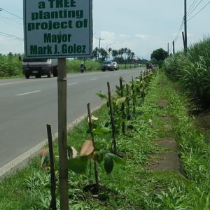 A Full Scaled Tree Planting Project Of Mayor Mark Golez In Greening ...