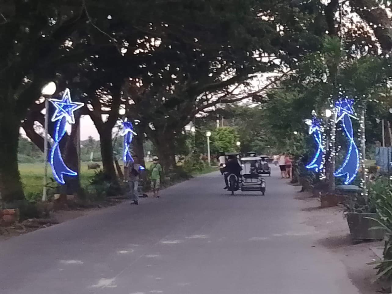 Repair of Street lights and Simple Christmas Lights Decoration at ...